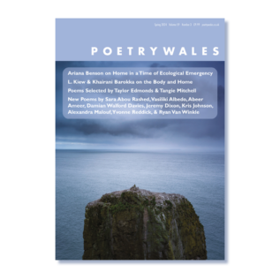 Poetry Wales - Catherine Fisher